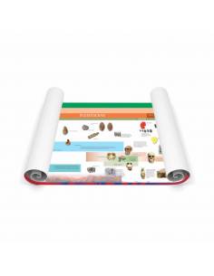 Timeline Of Early Humans